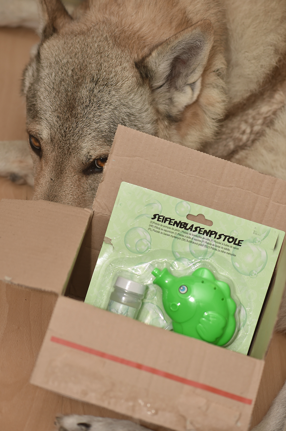 Kein Waffenschein Notwendig Wir Schenken Herrn Schm cker Eine Kein Waffenschein Notwendig Wir Schenken Herrn Schm cker Eine